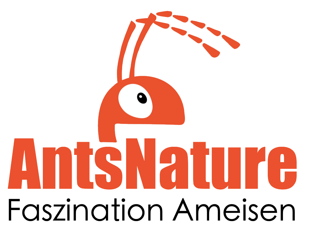 Wissensdatenbank – Ants Academy